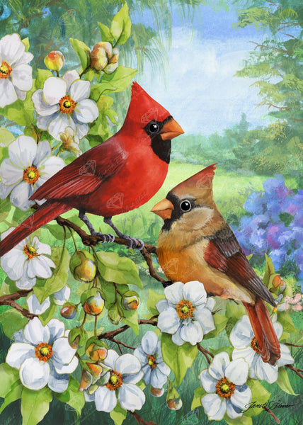 Cardinal Couple – Diamond Art Club