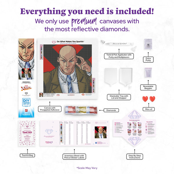 Professor X – Diamond Art Club