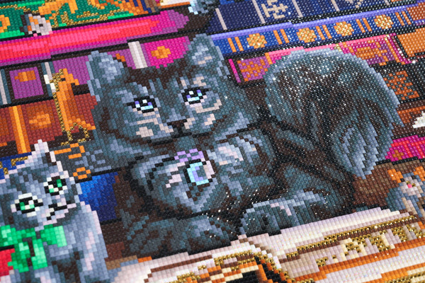 Storytime Cats & Books – Diamond Art Club