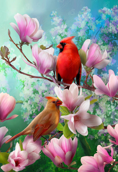 Cardinal Family – Diamond Art Club