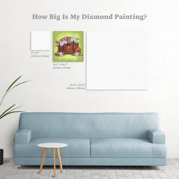 Chocolate Labrador – Diamond Art Club