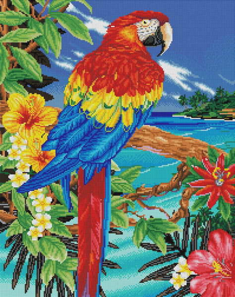 Scarlet Macaw – Diamond Art Club