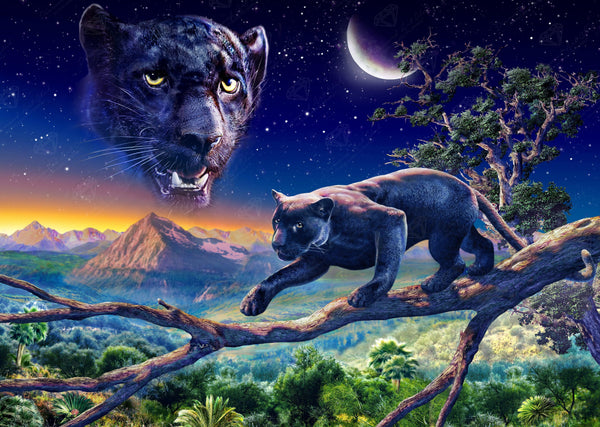 Twilight Panther – Diamond Art Club