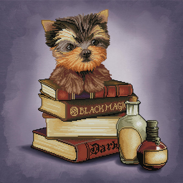 Yorkie & Magic Books – Diamond Art Club